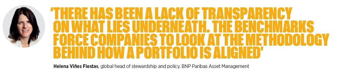 Are new EU climate benchmarks fit for purpose? - PA Europe